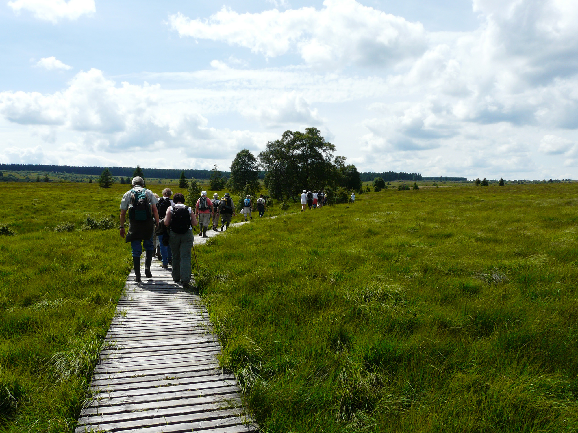 hautes fagnes parc naturel botrange jalhay