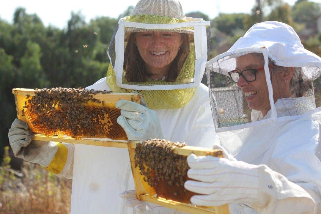 Beexperience - bezoek van bijenkorf - Office du Tourisme de Jalhay Sart